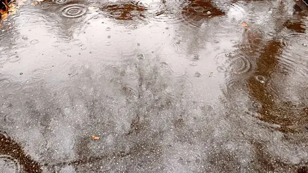 Самару ждет неделя непрекращающихся дождей - Рамблер/новости